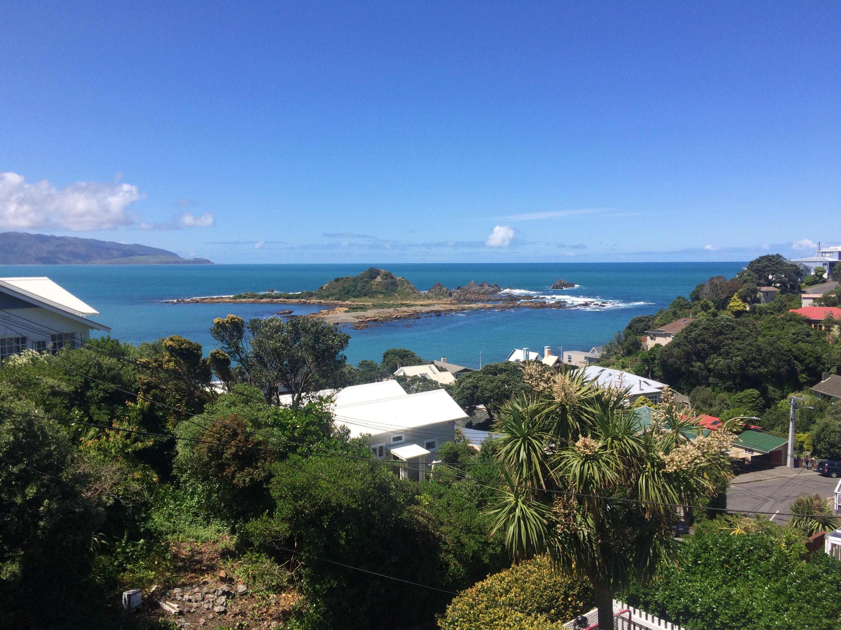 There are always interesting things happening in the Bay. Let us know ...