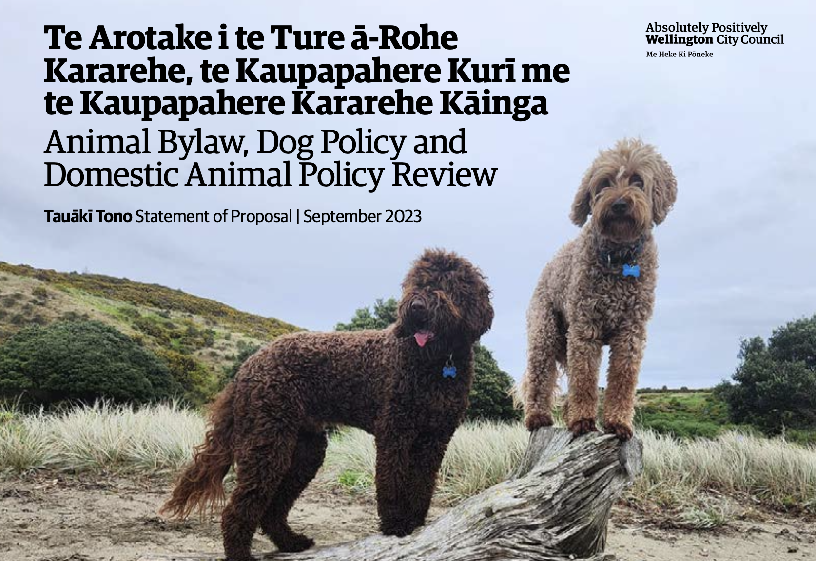 Animal Bylaw, Dog Policy and Domestic Animal Policy Review